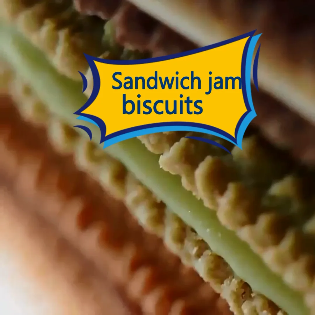 Yixinfoods Sandwich Ice Cream Biscuits Crispy Sweet Sandwiched ...