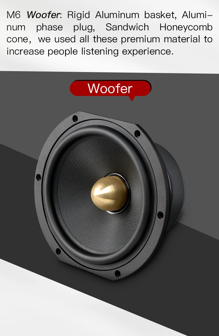 Accusound M6 HiFi 2-Way Passive Bookshelf Speakers - Premium Compact ...