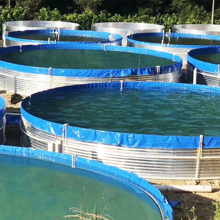 41000 Liter Galvanize Biofloc Tank - Large Circular Fish Tank