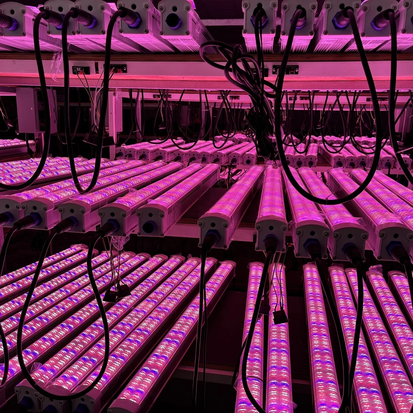 2025 Canopy LED 720W 4ft Indoor Farming Dimmable Greenhouse ...