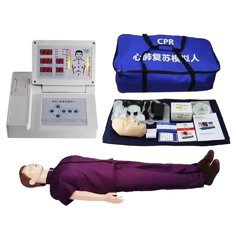 Life Size Electronic Adult CPR First Aid Training Simulator| Alibaba.com