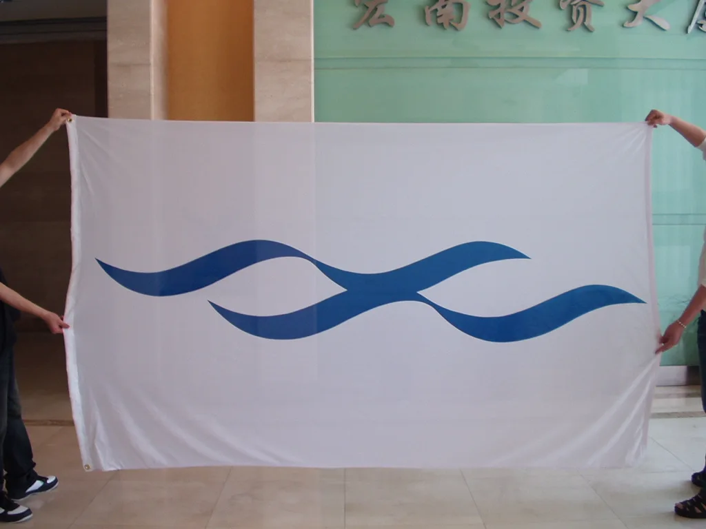 Custom Promotion Flag 3x5ft Custom Sublimation Blank logo Banner Any ...