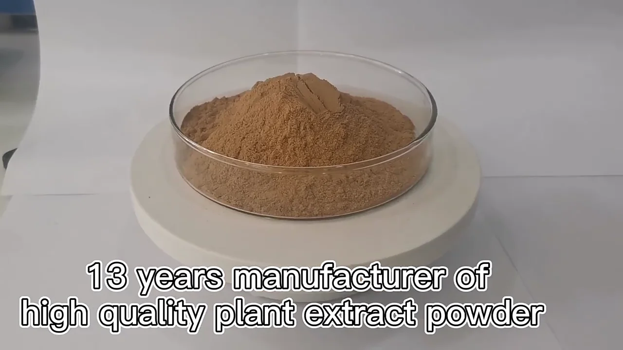 100% Evodia Fructus Evodiae - Buy Fructus Evodiae Powder Extract ...