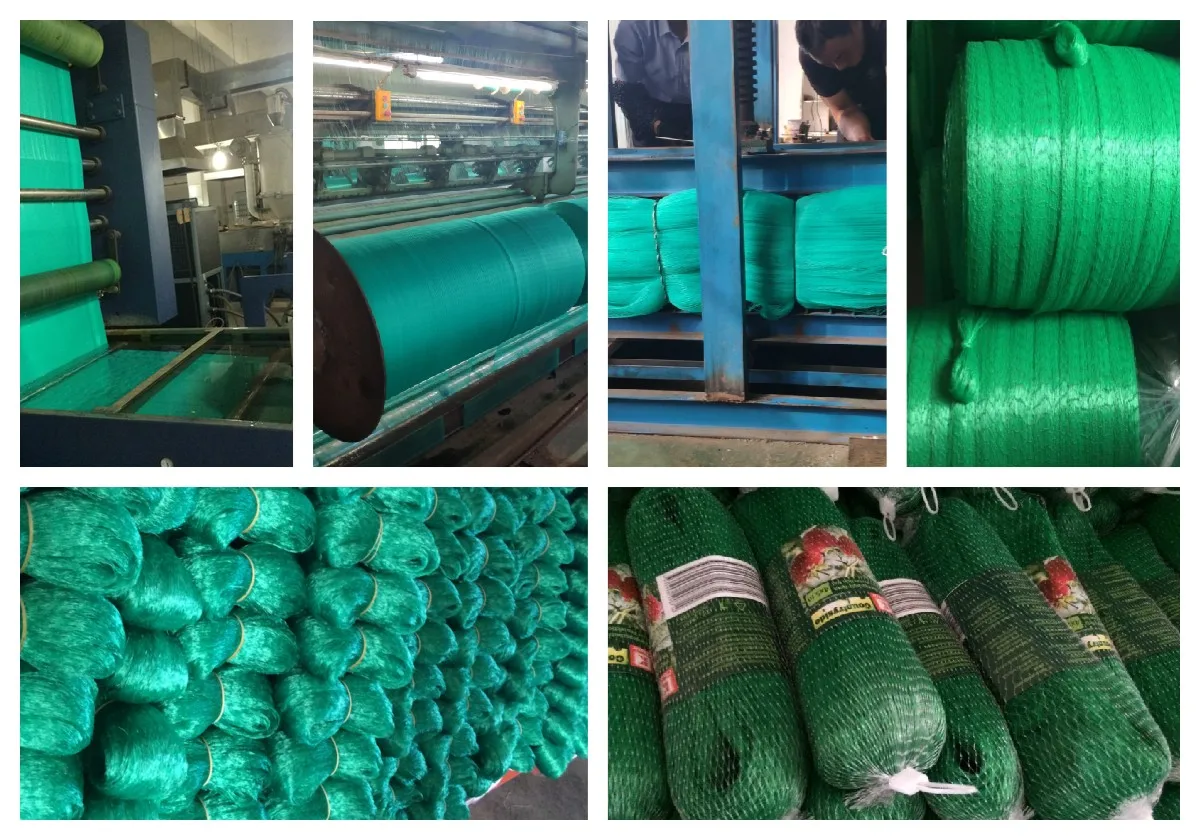 Extruded 15mm Mesh Plastic Bird Netting / Bird Protection Net For Fish ...