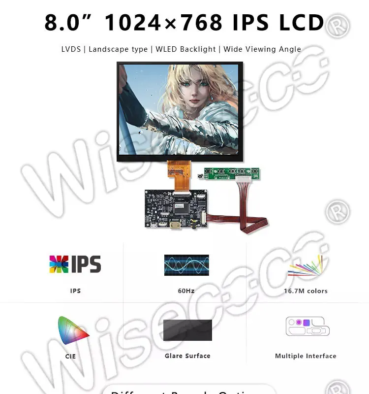 8 Inch LCD Panel - High Resolution 1024x768 Display
