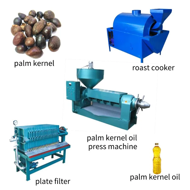 High Oil Yield - Small Scale Palm Kernel Oil Processing