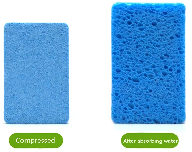 Eco-friendly Compressed Cellulose Sponges for Cleaning