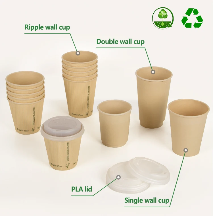 Eco-friendly Bamboo Paper Food Containers - Biodegradable