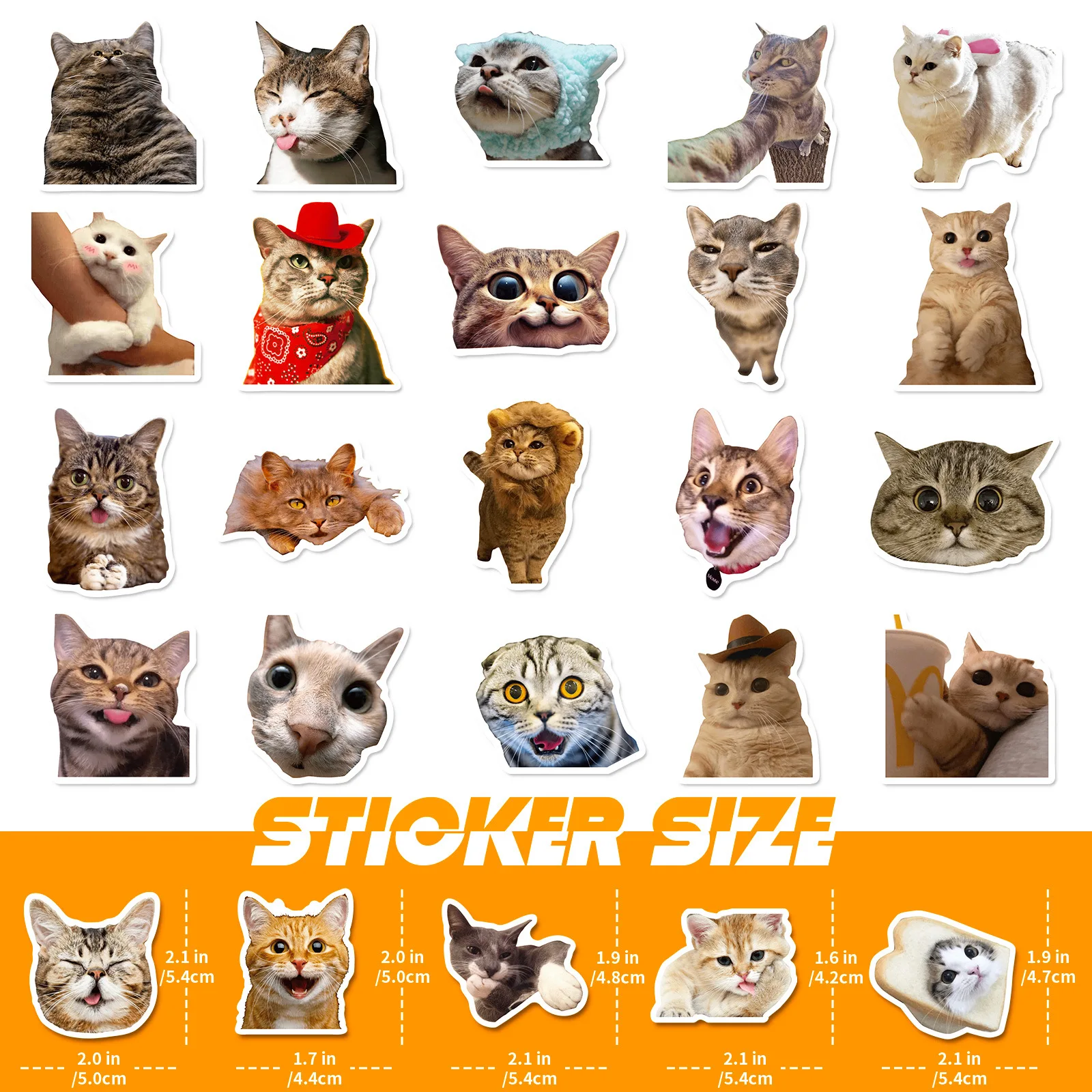 50pcs Real Cat Meme Funny Cute Graffiti Stickers For Wall Bottle Car ...