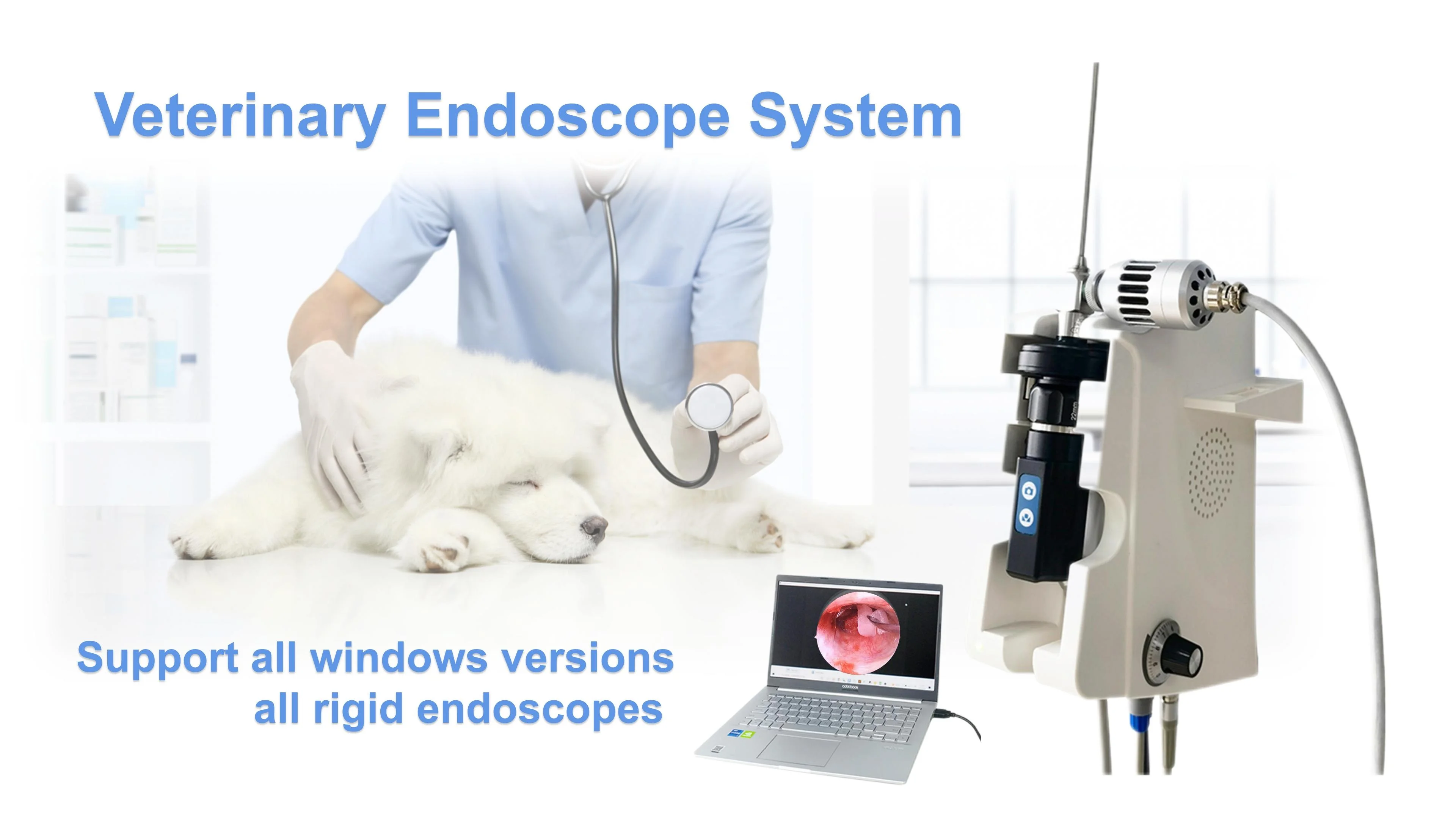 Heizle Medical Digital Surgical Diagnosis Endoscope Camera System ...