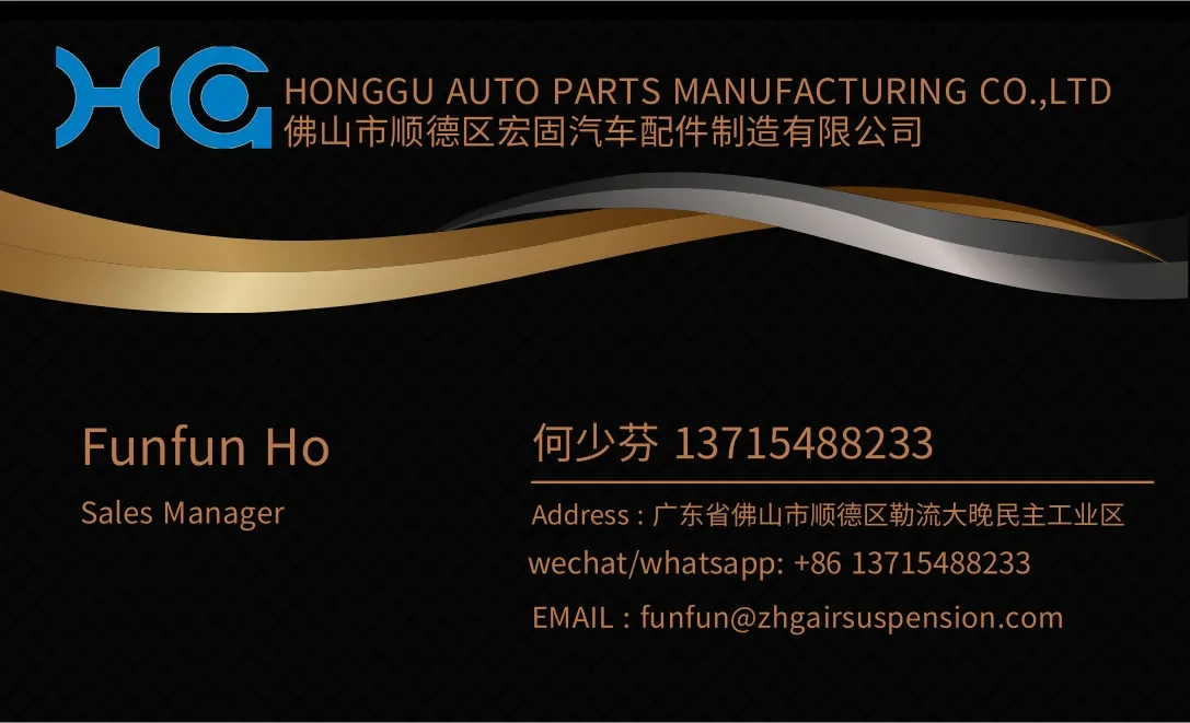 Front Left Air Suspension Shock for W211 W219 Airmatic Shock Absorber ...