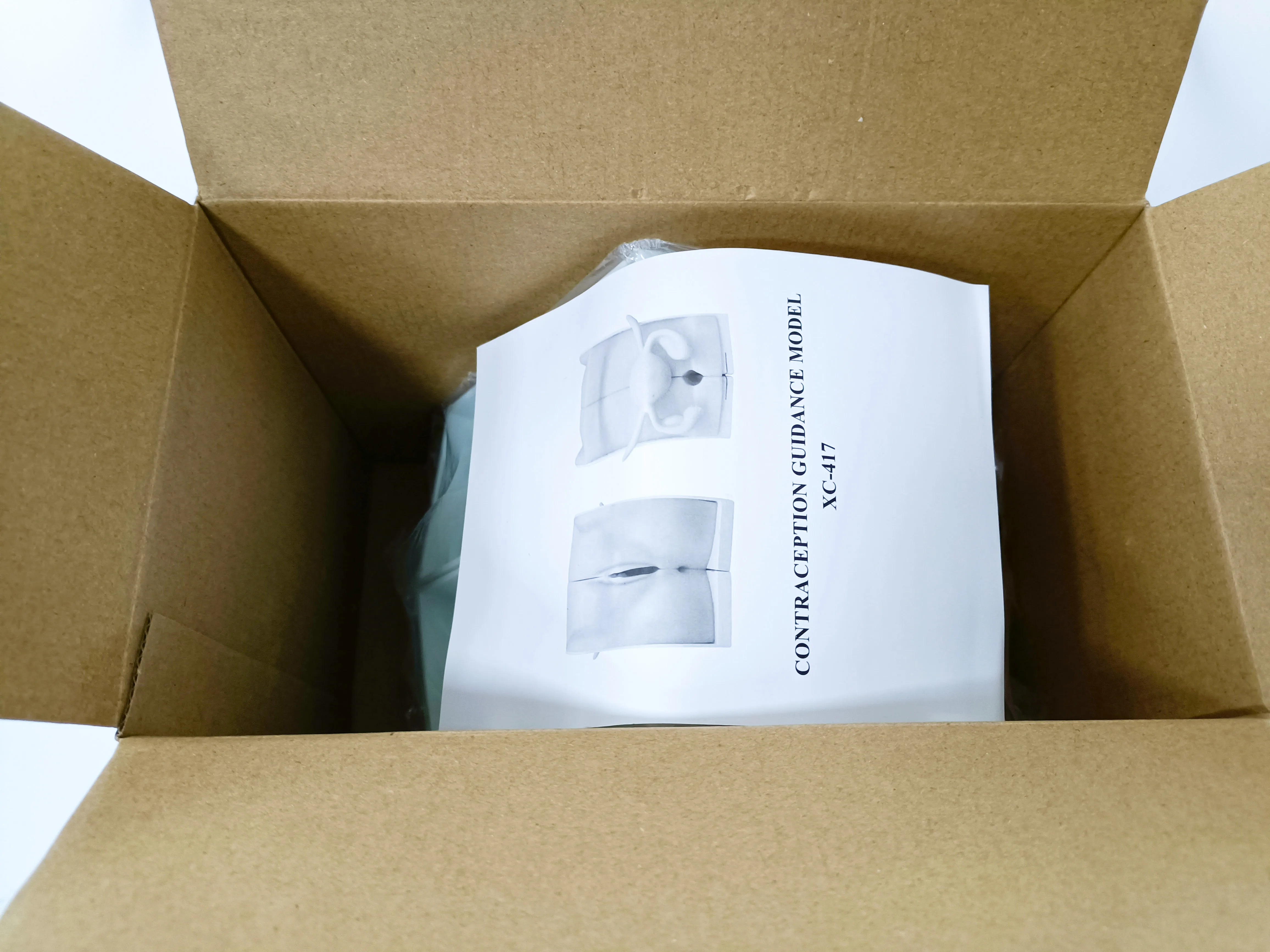 Medical Science Education Teaching Birth Control Female Uterus ...