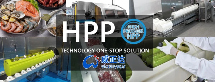 Natural Fresh Vegetable & Fruit Juice Processing Machine