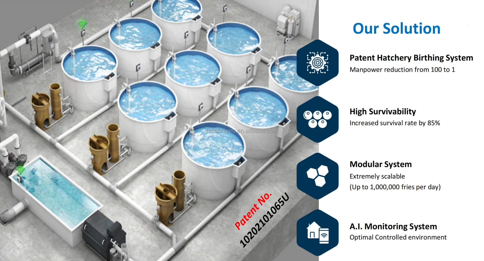 Pisciculture Fish Farming Shrimp Farm Aquaculture Integrated RAS System ...