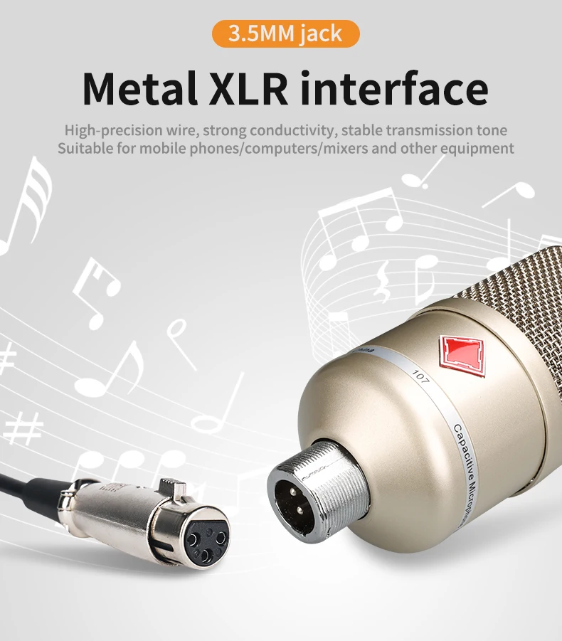 Large Diaphragm Mic Condenser Microphone for Studio Recording