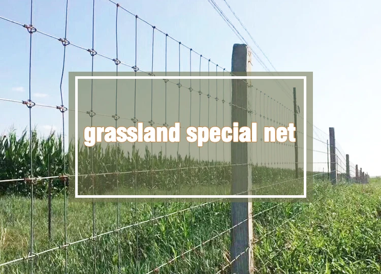 Galvanized 200m Long Animal Field Fence 1.8 Meters Farming Fence with ...