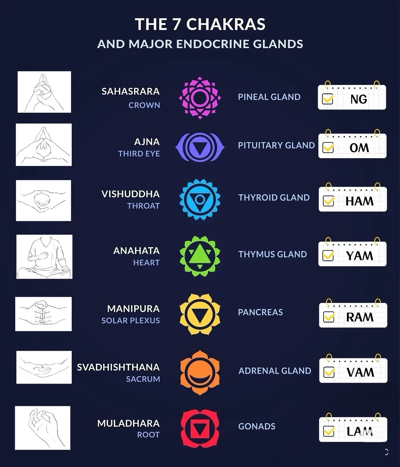 Sacred Heart Seven Chakras Love Stone Set Seven Color Stone Bracelet ...