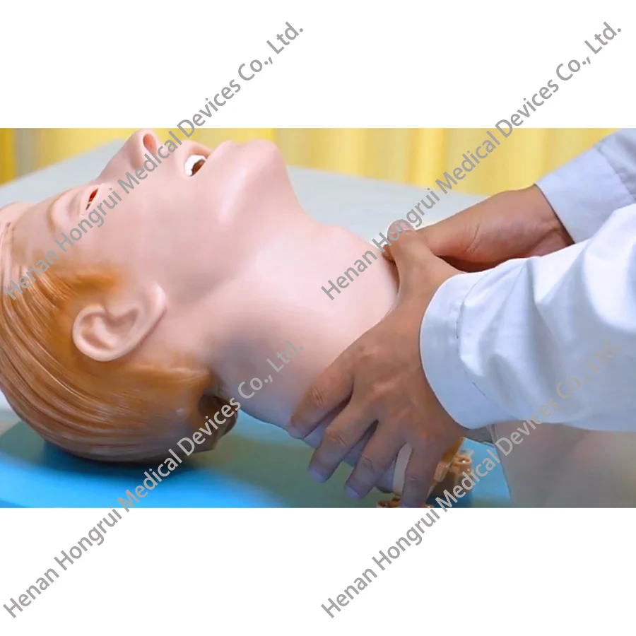 High Quality Medical Model Multi-functional Airway Management Model ...