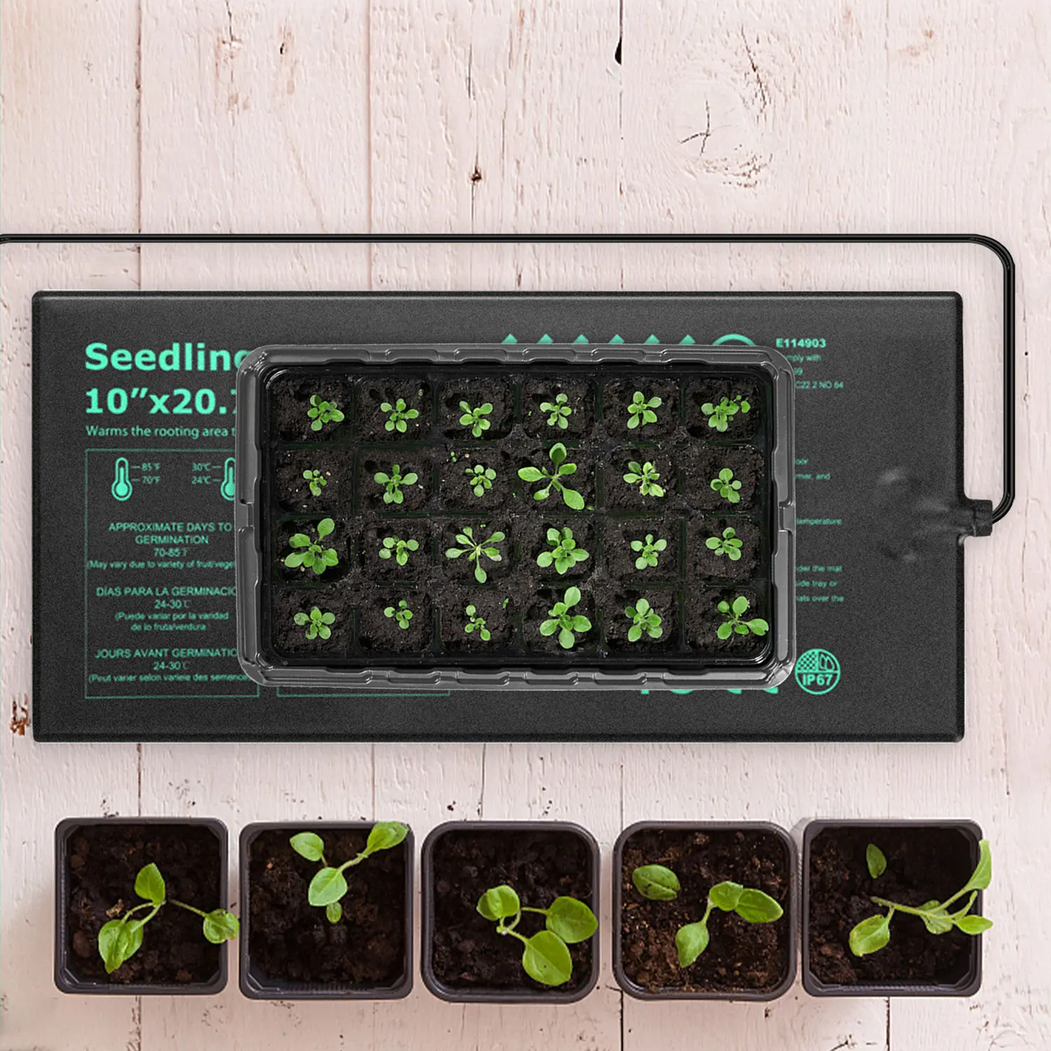 10 X 20.75 20W Plant Seed Germination Heat Pad Mat for Startings