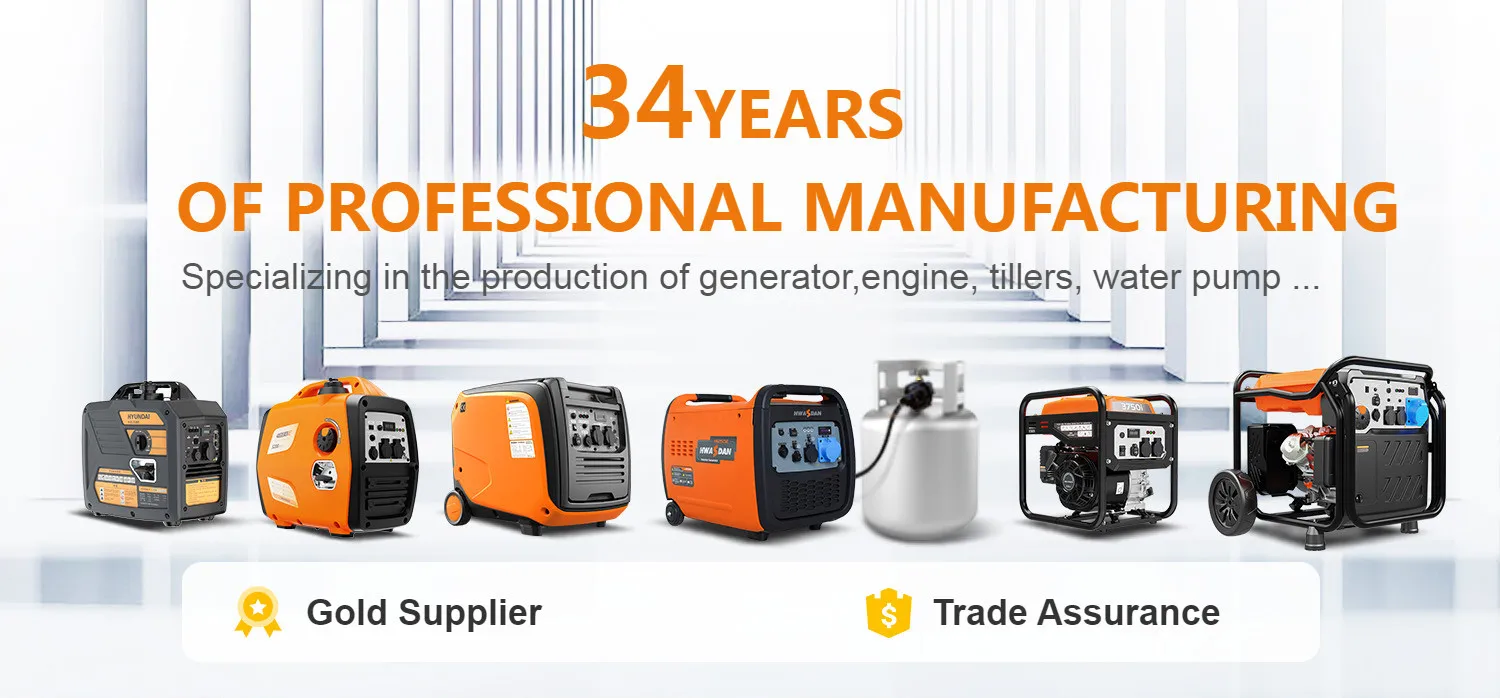 Wholesale Cheap Portable Inverter Electric Generators Silent 2000w ...