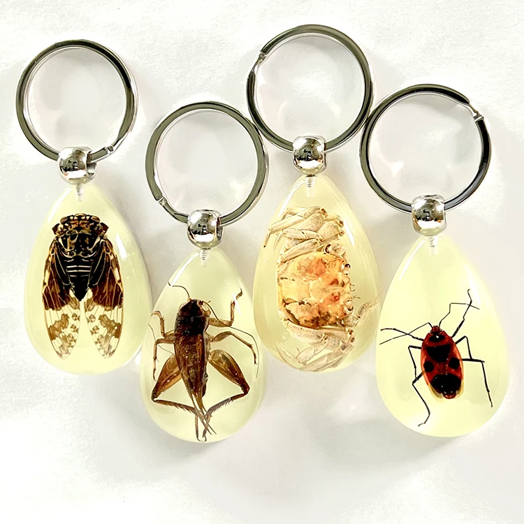 High Quality Resin Key Chain Glow In Dark Keychain Cicada Cricket Crab ...