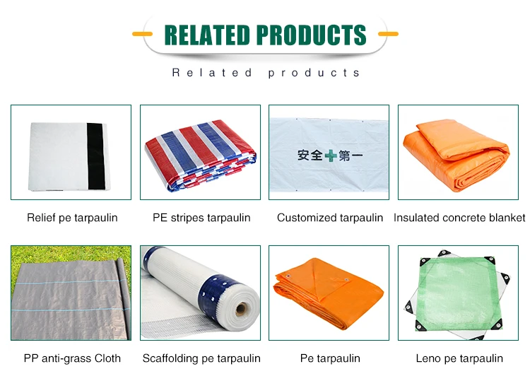 Customizable PE Tarpaulin - Durable and Versatile Cover