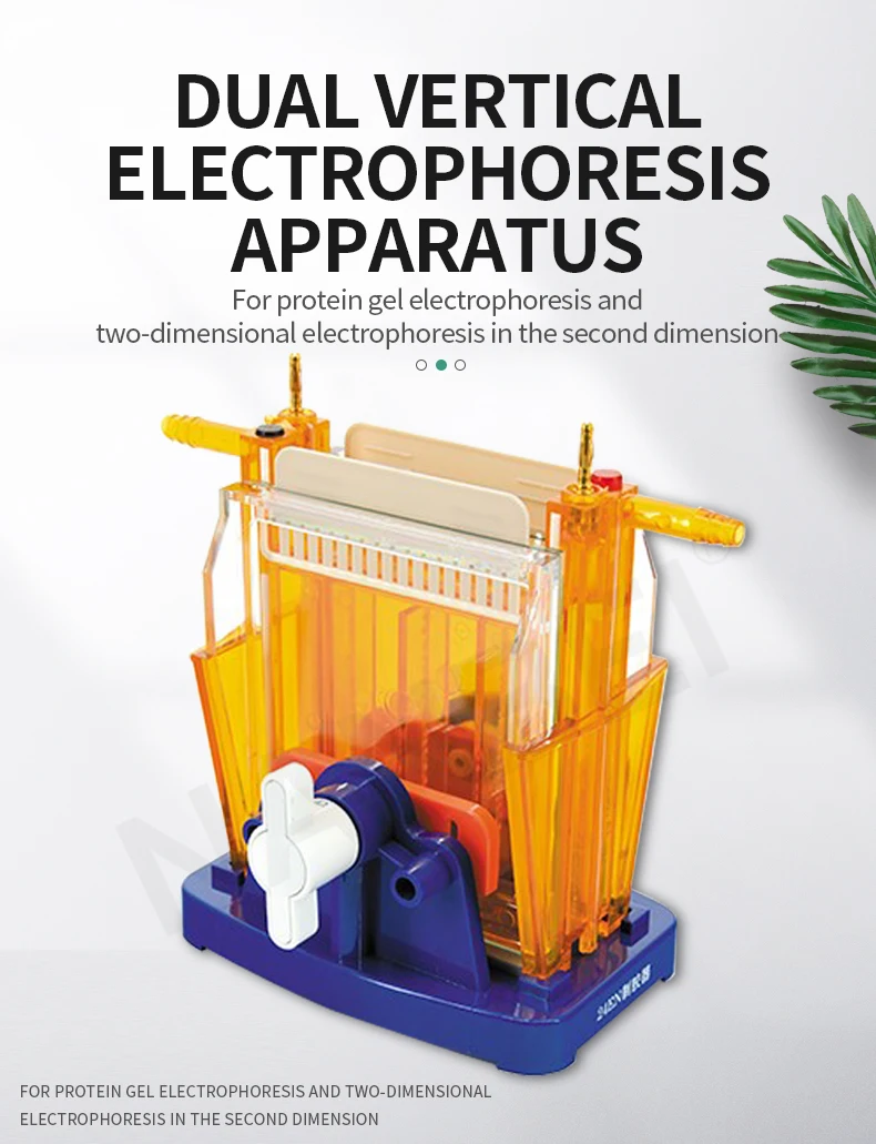 Lab Vertical Tank Gel Electrophoresis Apparatus Price