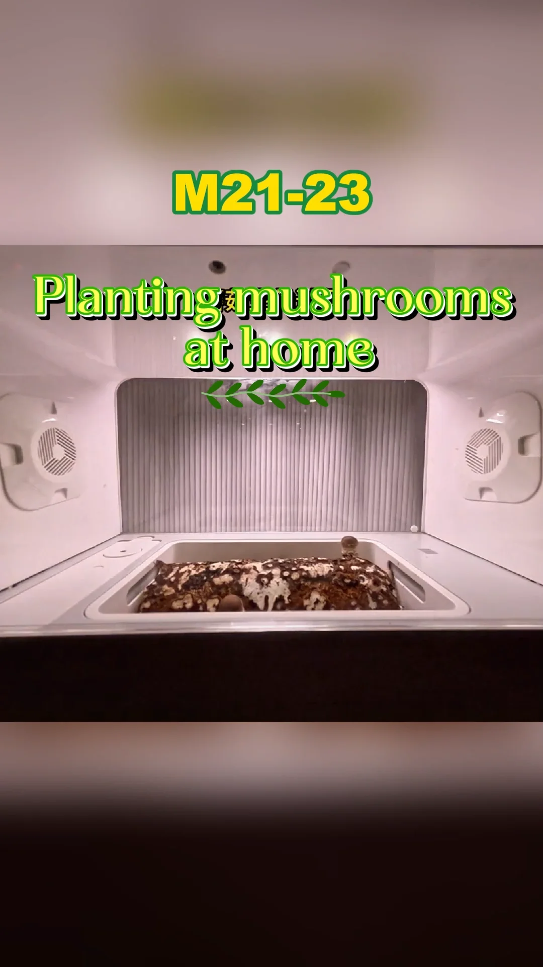 A+ Quality Vertical Farming Cheap Full Kit Grow Plant Large Complete ...