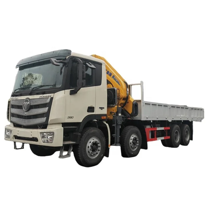 Foton Truck Mounted Palfinger Boom Knuckle Manipulato 8x4 16Ton 20Ton ...