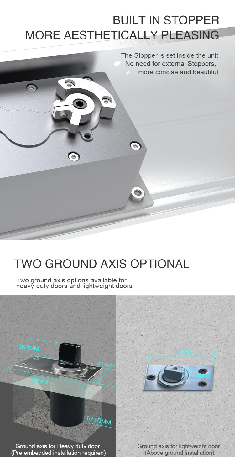 Doortec Automatic Pivot Door With Intelligent Controller And Beautiful ...