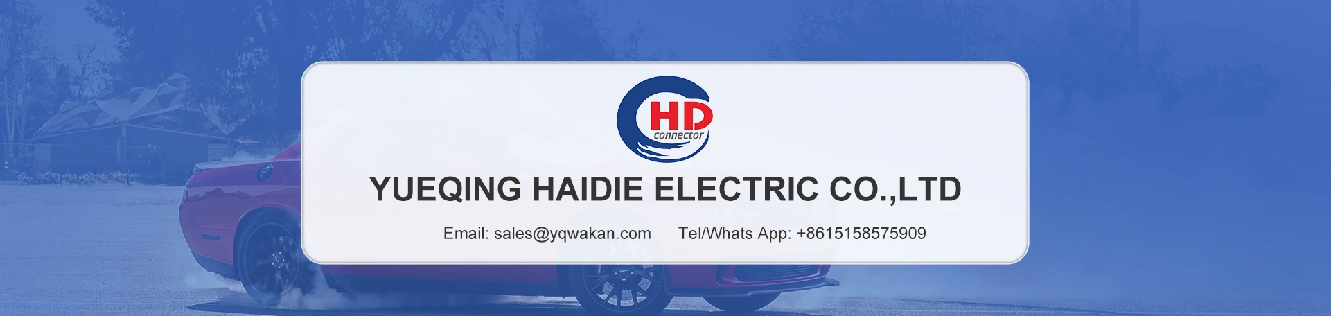 Company Overview - ZHEJIANG HAIDIE ELECTRIC CO., LIMITED