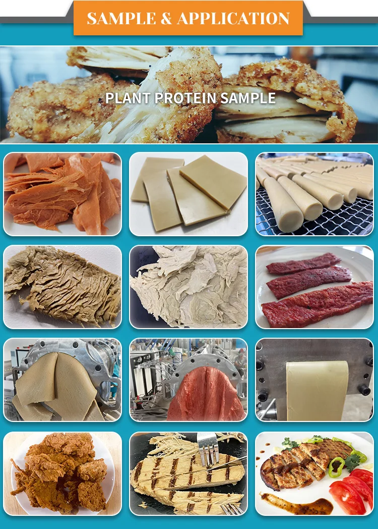 High Moisture Meat Analog Hmma Plant Based Beans And Peas High Protein ...