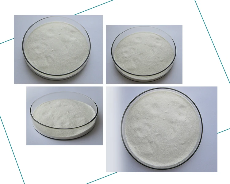 Insen Supply Health Care Supplement Lactobacillus Bulgaricus| Alibaba.com