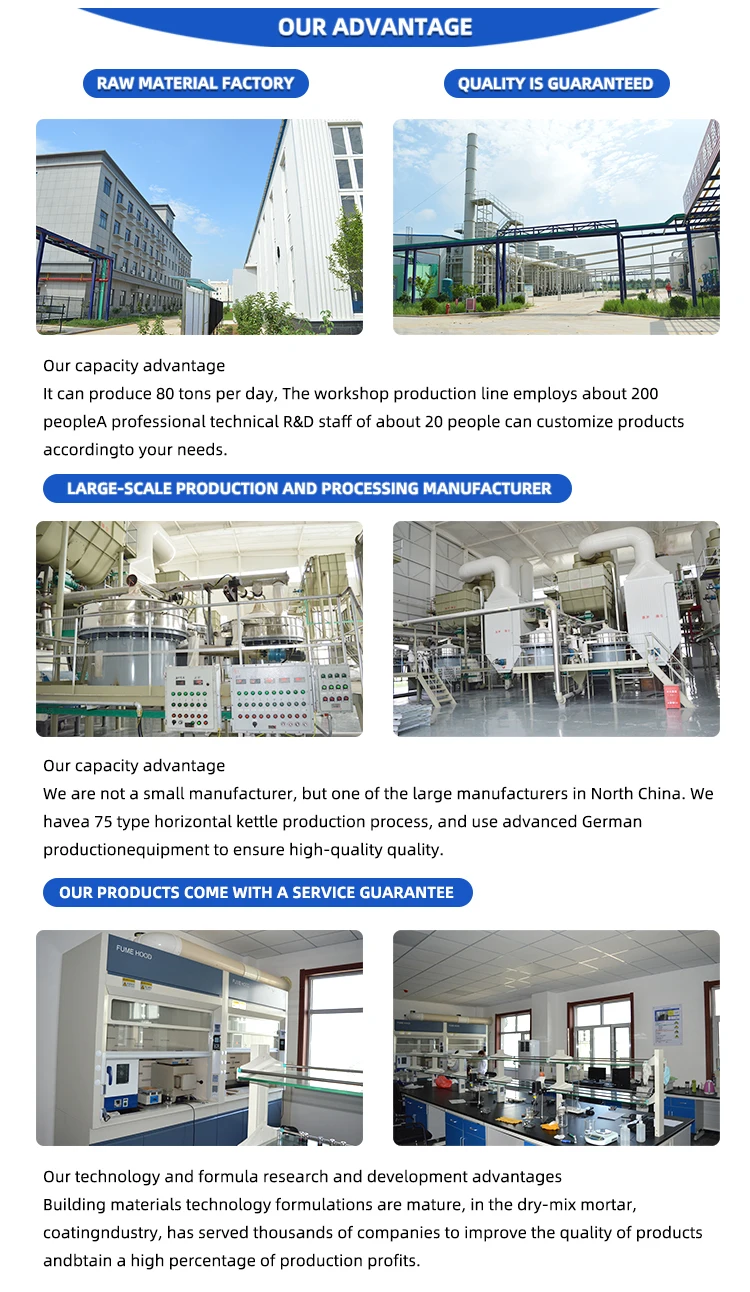 Mortar Dry Mixed Binder Rdp/vae For Masonry Coat,Tile Adhesive,Grout ...
