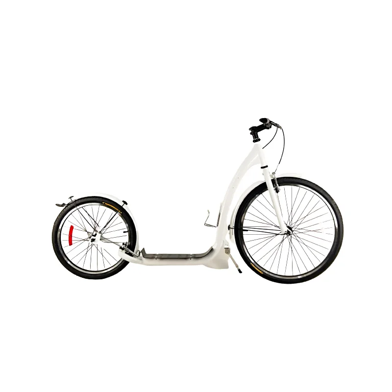 Custom Footbike 2021 - Adult Kick Scooter Fashion & Fun
