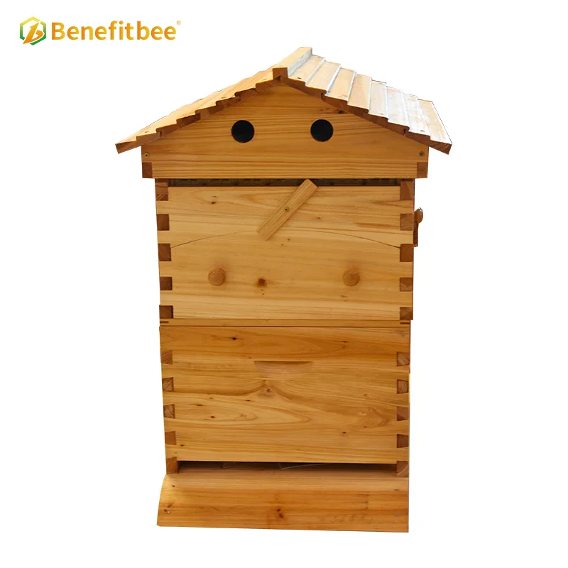 Benefitbee Automatic Self-Flowing Bee Hive - Apiculture
