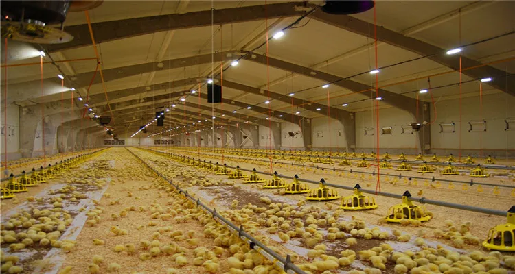 Low Cost China Made Commercial Chicken House Used - Buy Chicken Poultry ...