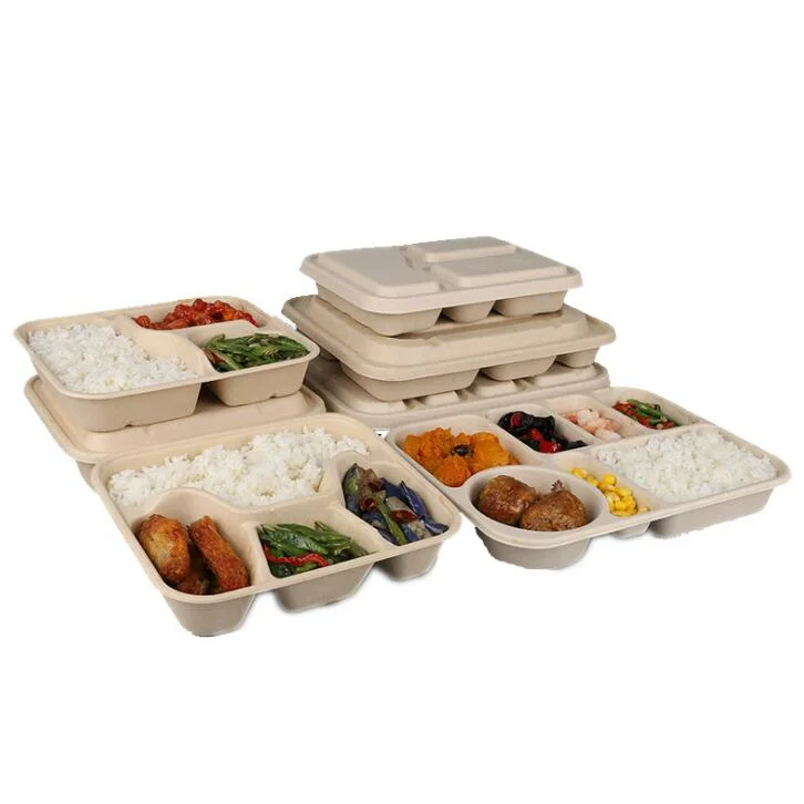 Biodegradable Fast Food Containers Packaging With Compartments ...