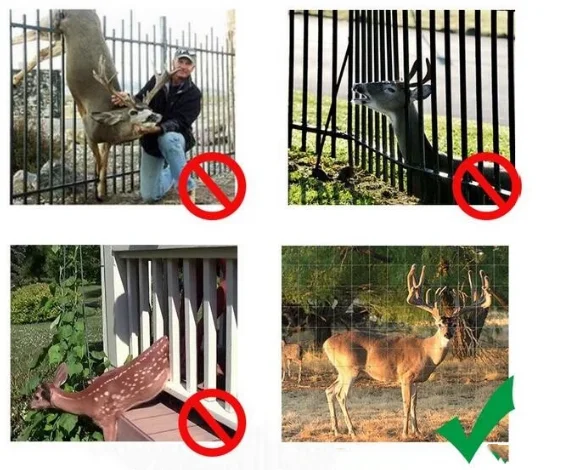Factory Price 1.2metres Veld Span Fence Iron Wire Mesh Cattle Farming ...