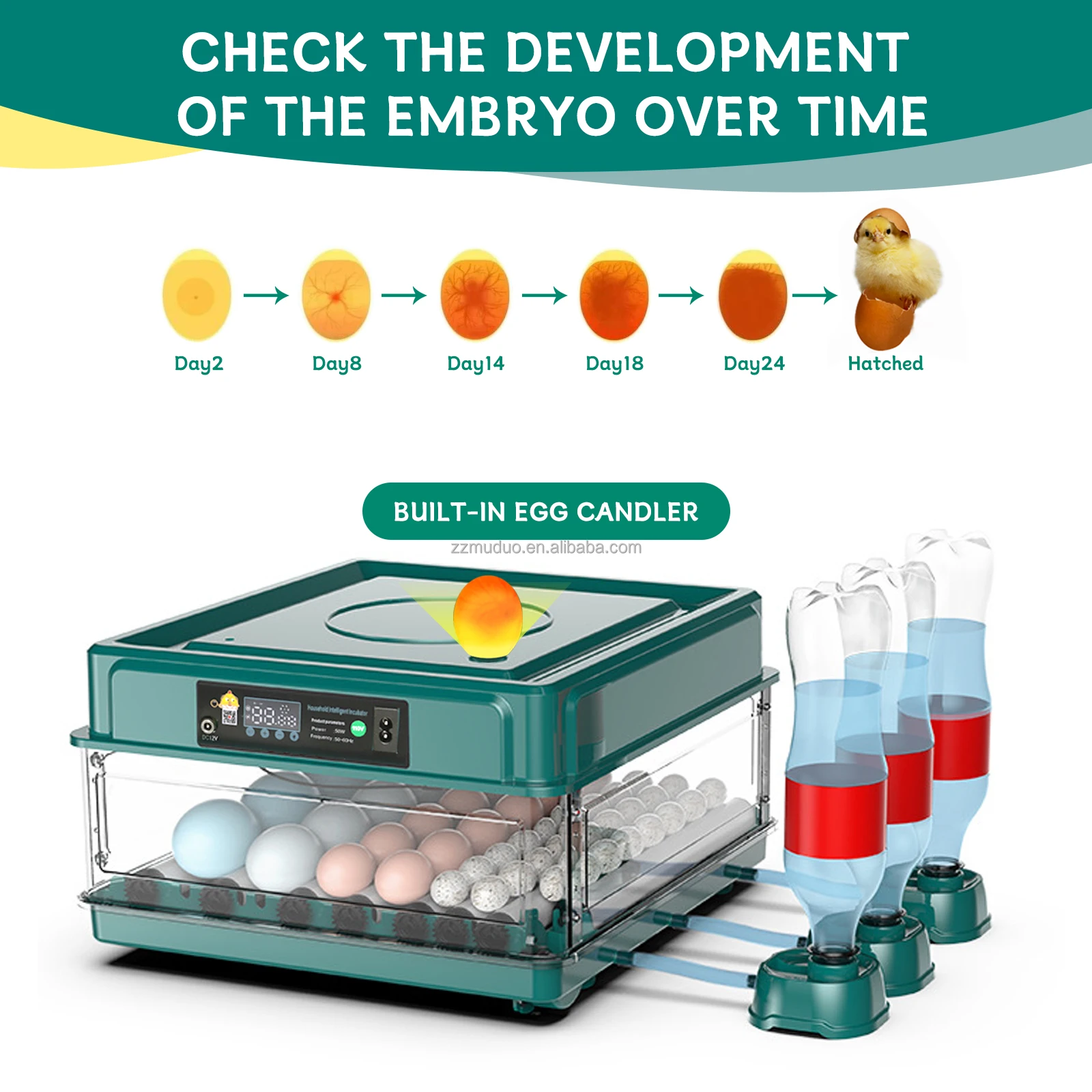 12 Eggs Chicken Incubator and Hatcher Poultry Egg Hatching Fully ...