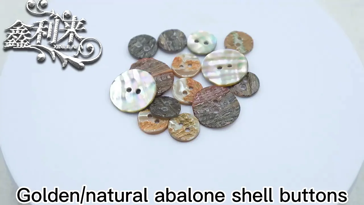 High Quality Abalone Shell 2-hole Natural Shell Shirt Jacket Clothing ...