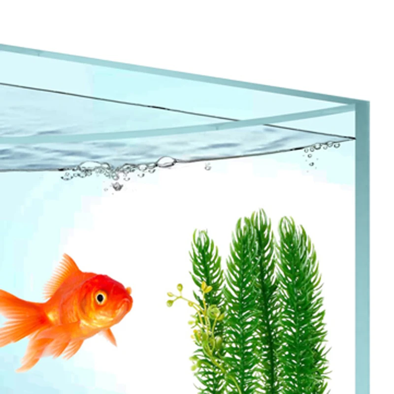 Corner Aquarium Small Fish Tank 1.71 Gallon Acrylic Saltwater Fish ...