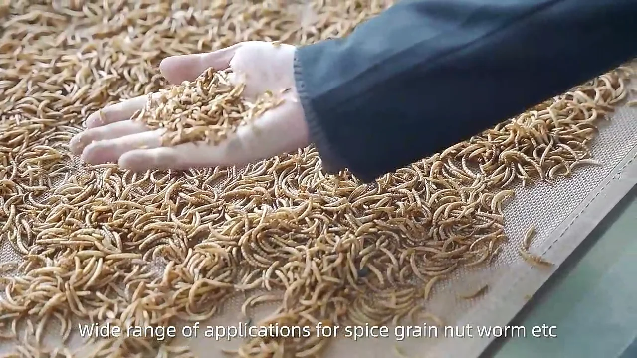 Microwave Black Soldier Fly Farm Dryer Bsfl Drying Machine - Buy Bsfl ...