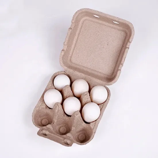PT PACK 2021 Paper Egg Tray Factory - Biodegradable & Durable