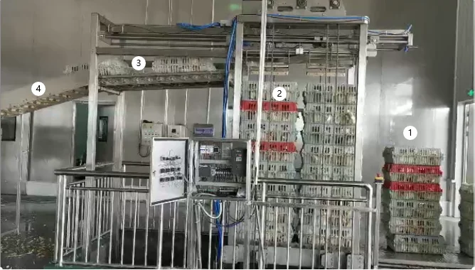 Auto Crates Stacker Destacker for Poultry & Meat Processing