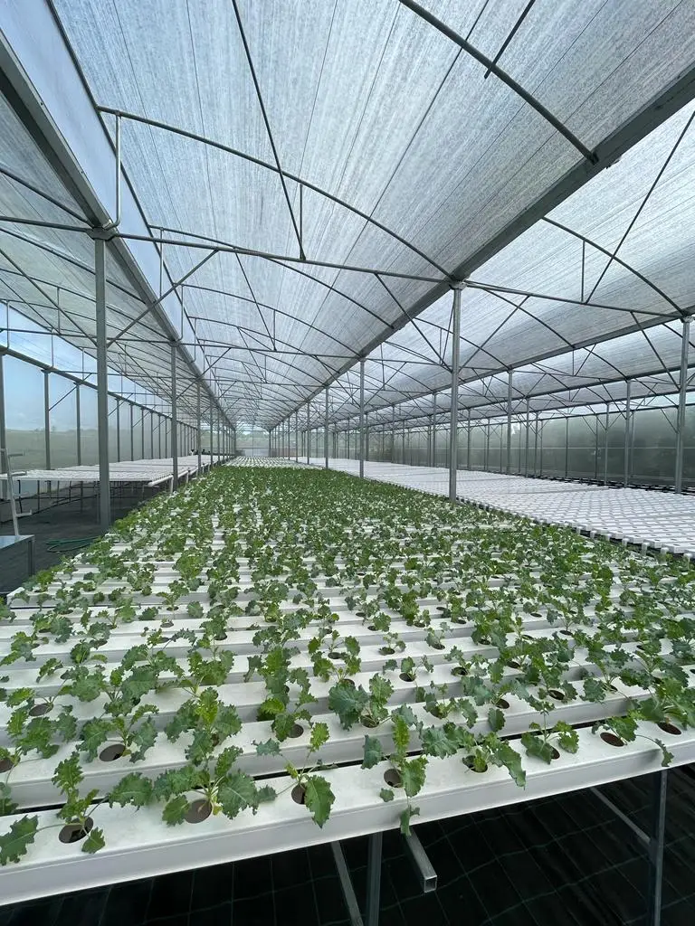 NFT Channel PVC Pipe Vertical Hydroponics System Hydroponic Growing ...