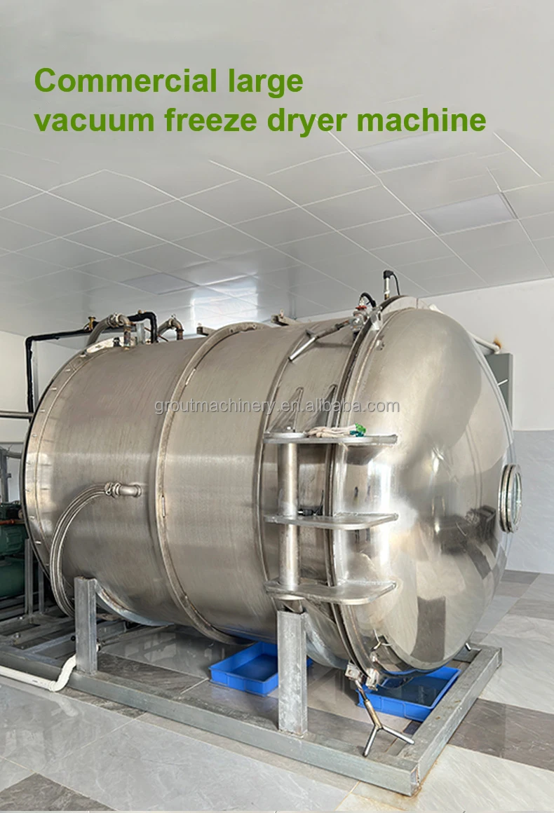 Vegetable Fruit Juice Yogurt Freeze Drying Machine Fish Lyophilizer ...