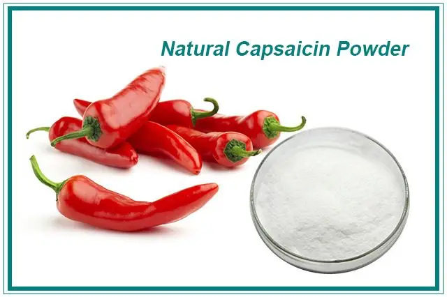 Pure Nautral Capsaicin Powder/capsaicin Powder 98%/synthetic Capsaicin ...