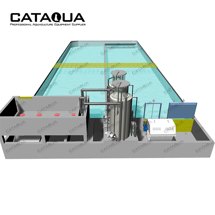 Cataqua Raceway Ras System Aqua Grouper Koi Fish Farm - Buy Aqua Fish ...