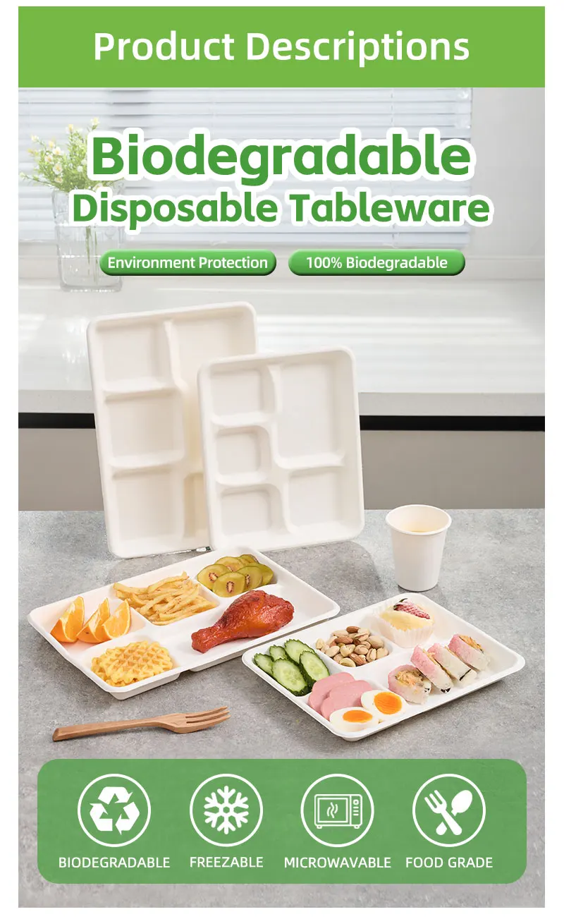 Large 5 Compartments Trays 32oz Take Out Container Sugarcane Bagasse ...